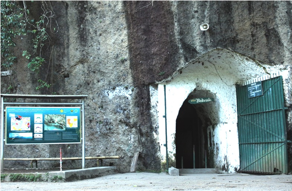 2 Goa Bersejarah di Taman Hutan Raya Ir. Djuanda: Goa Jepang dan ...