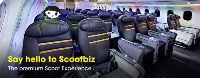 scootbiz business class scoot airlines | the travelearn